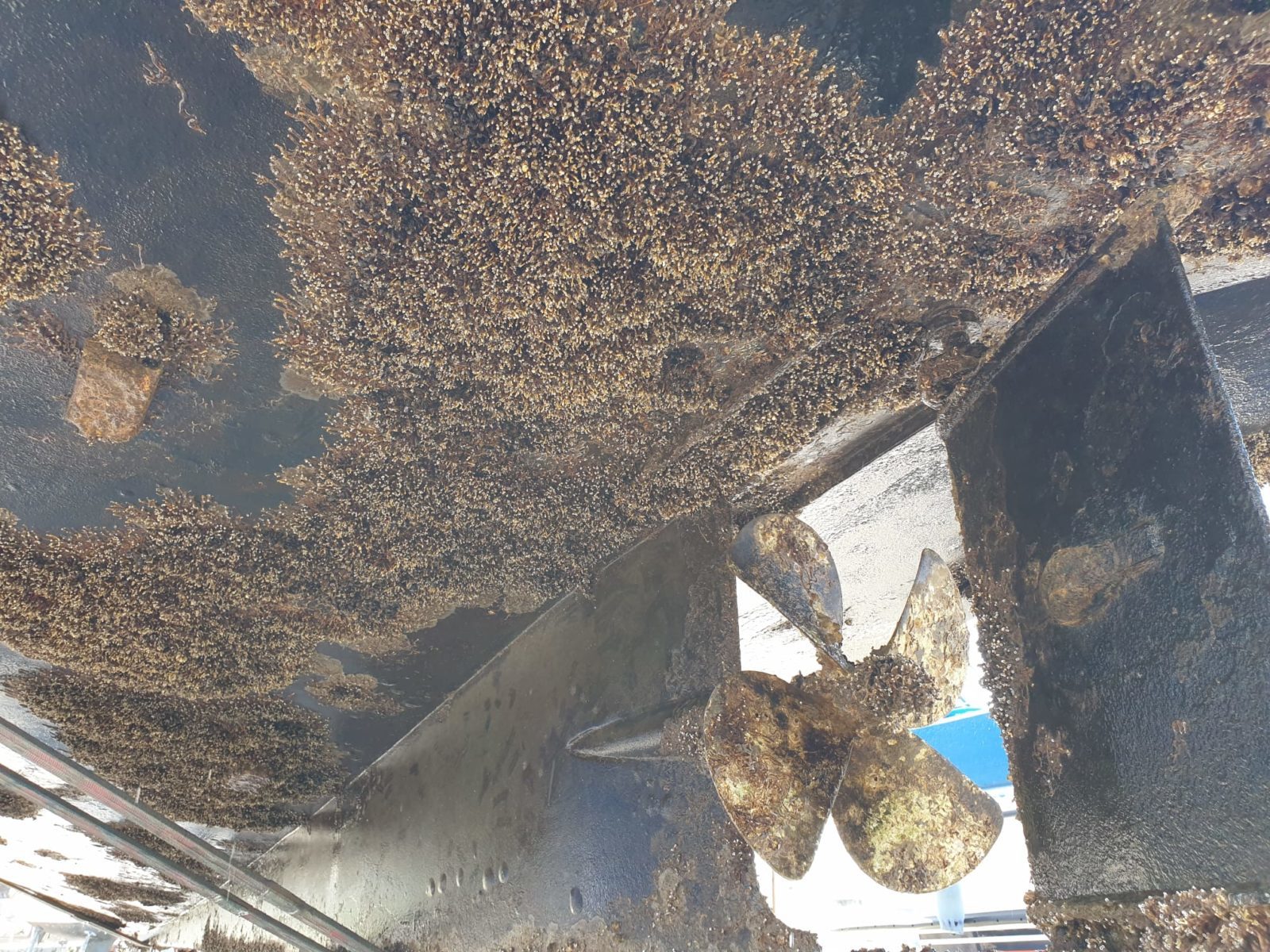 Avant - Après - Dilamar